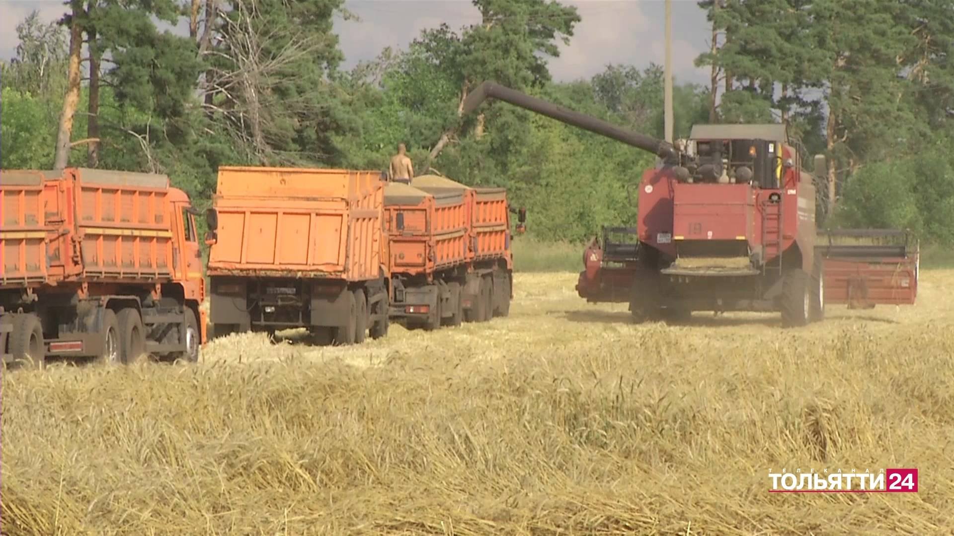 "Новости Тольятти" 12.08.2025