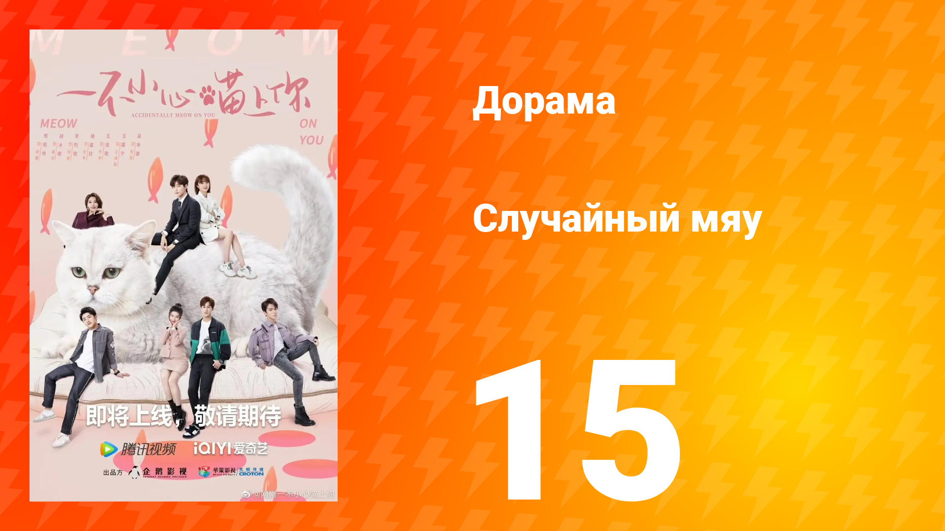 Случайный мяу 1 сезон 15 серия