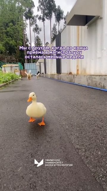 Магистратура зовёт!