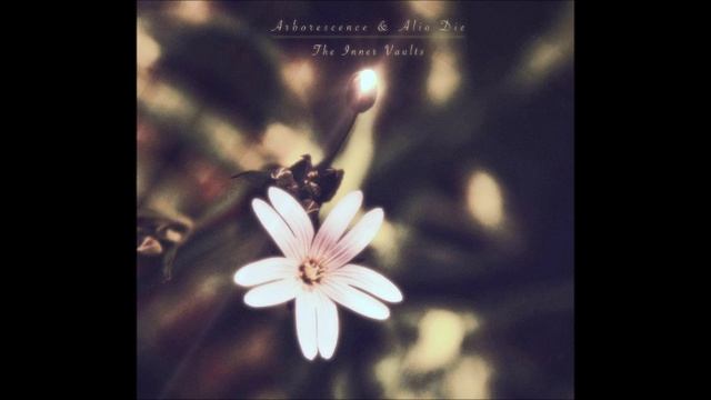 Arborescence & Alio Die - Where Colors Meet