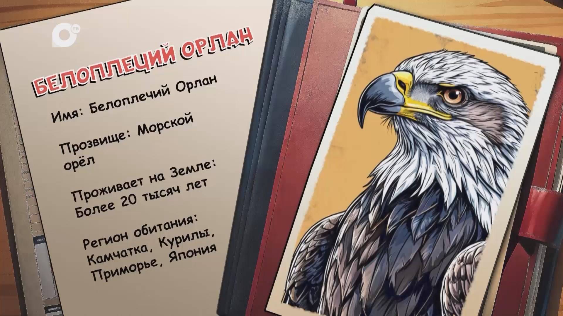Агент биосферы / Белоплечий орлан / 11.08.25