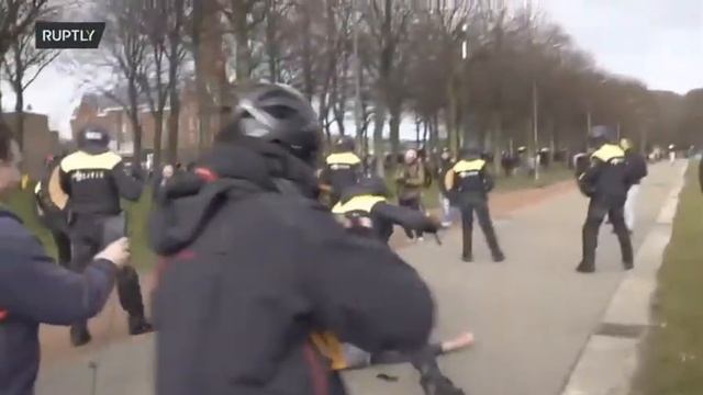 Задержание опасного преступника собакой