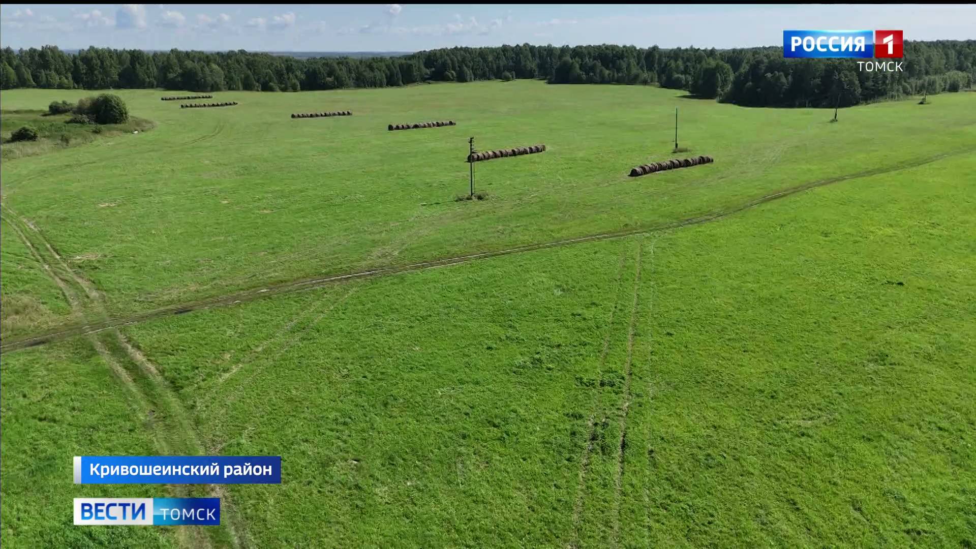 Вести-Томск, выпуск от 13.08.2025 09:30