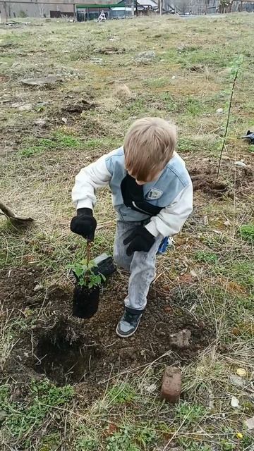 Каждый человек должен посадить дерево