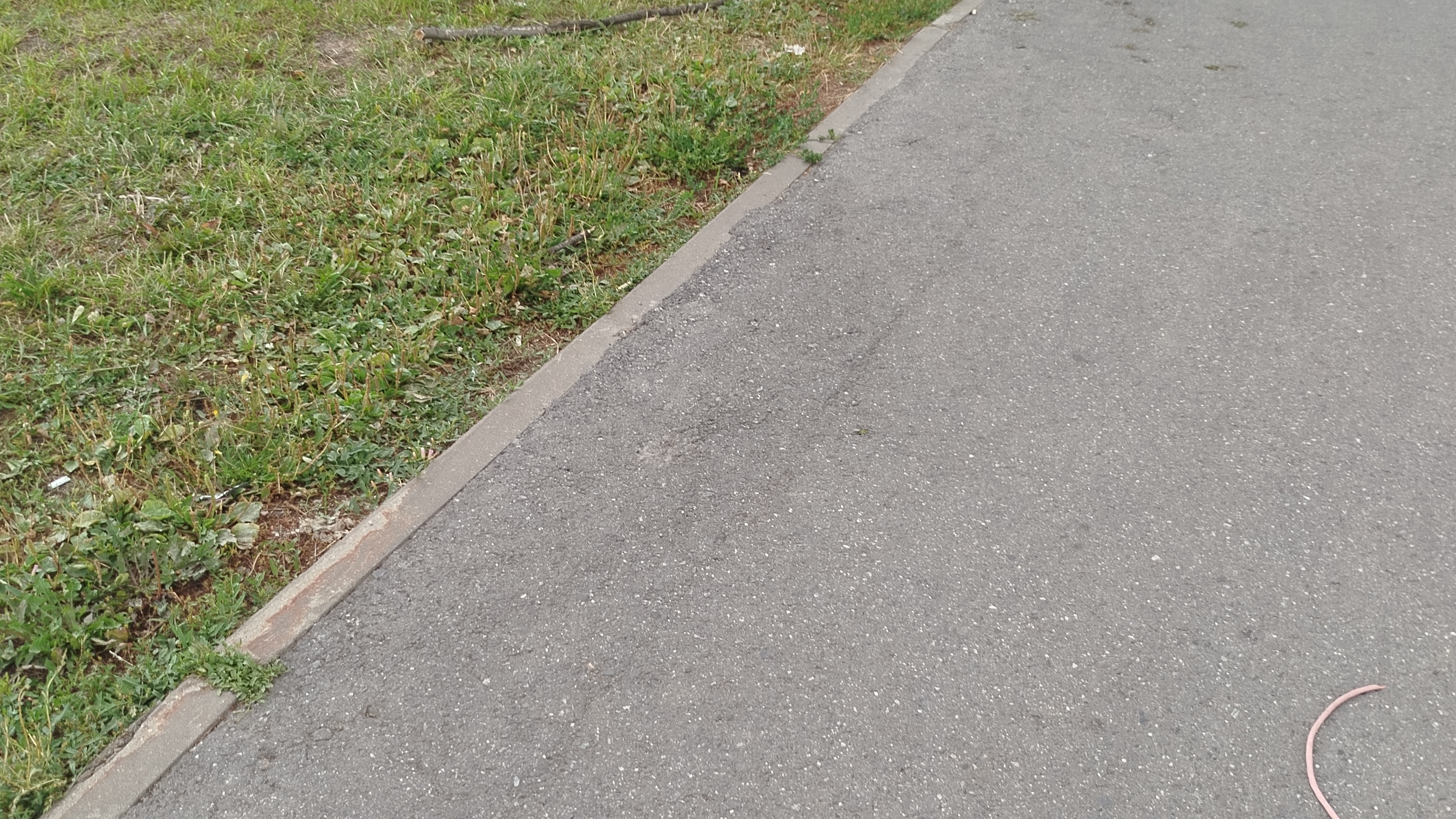 пугаем соньку 4