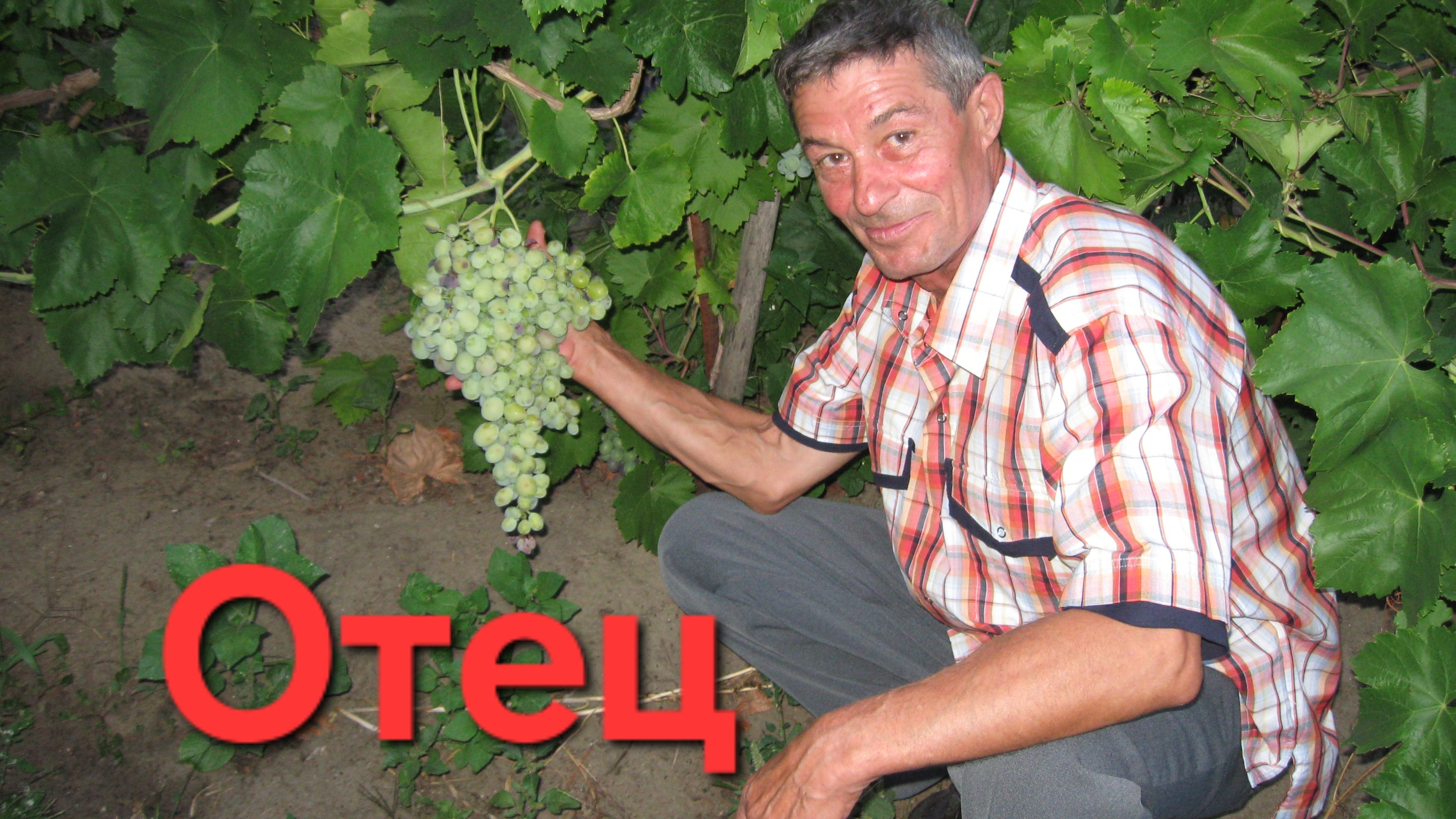 ОТЕЦ (клип)