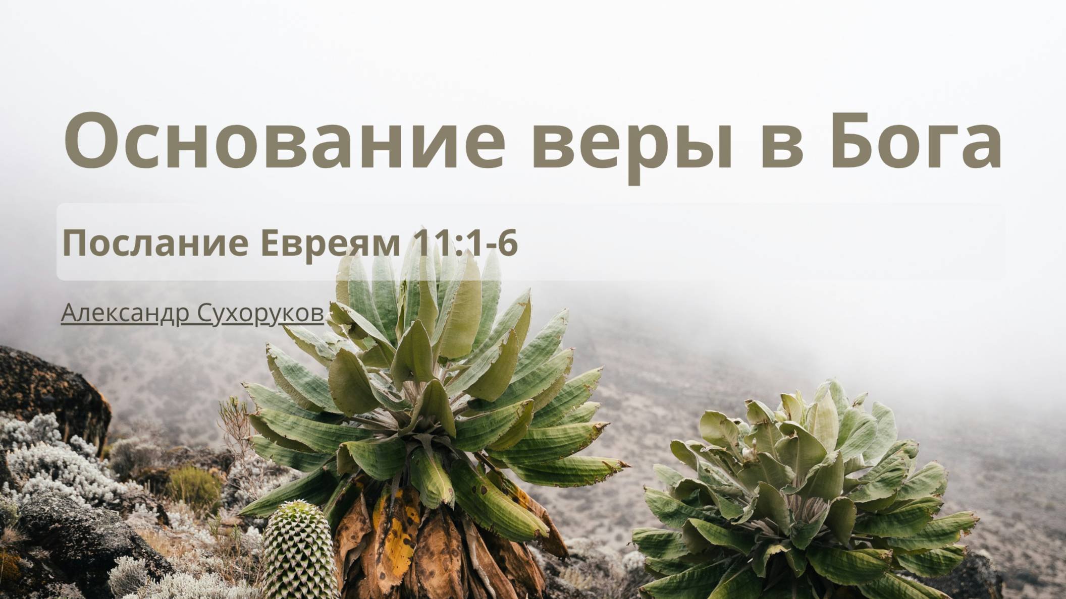 Основание веры в Бога | Евреям 11:1-6 | Александр Сухоруков