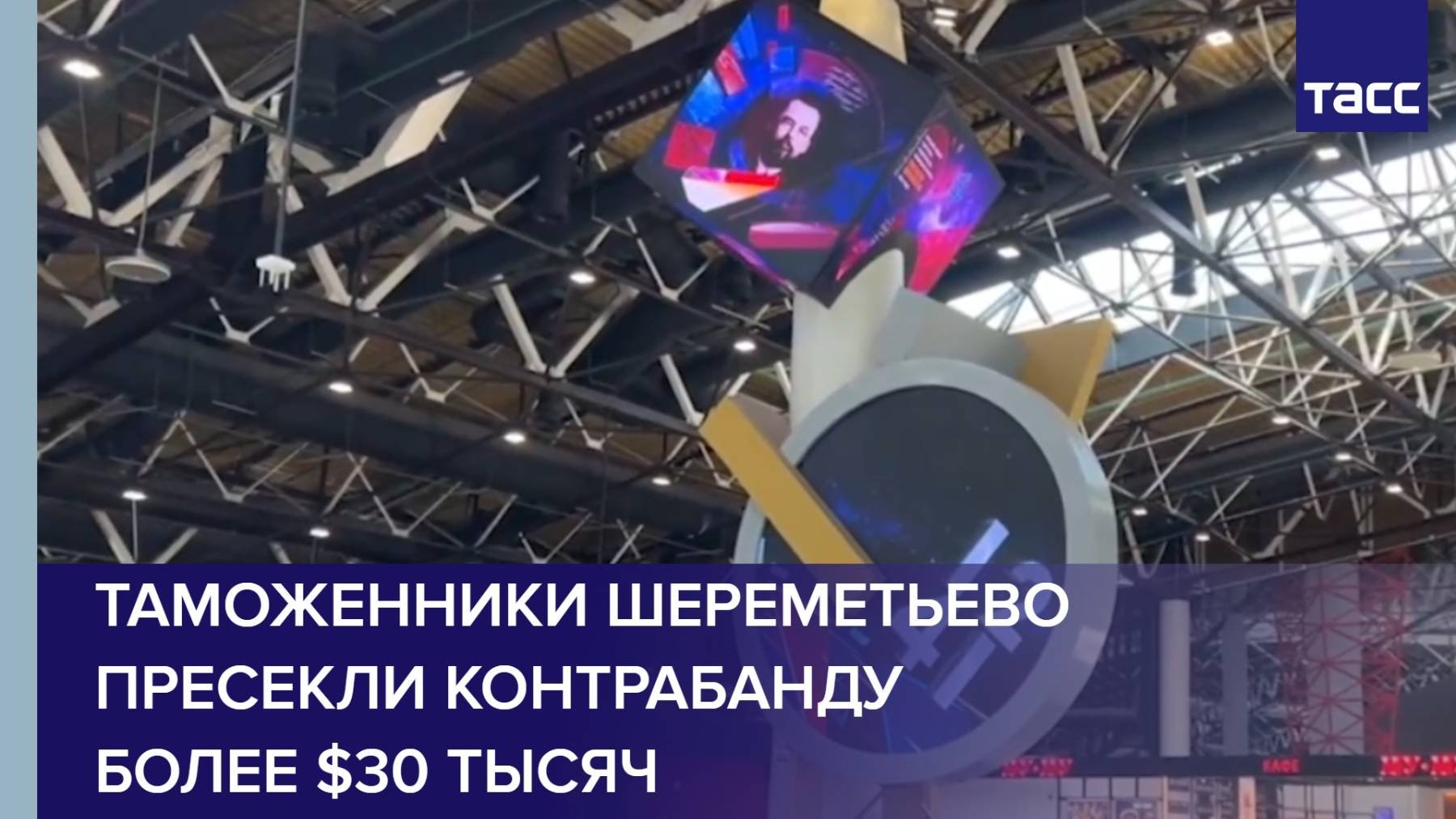 Таможенники Шереметьево пресекли контрабанду более $30 тысяч