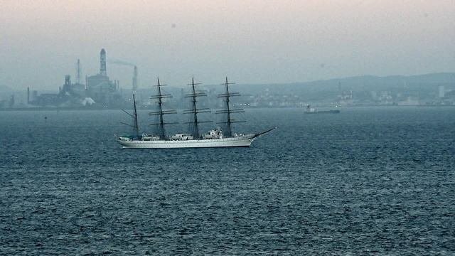 парусник