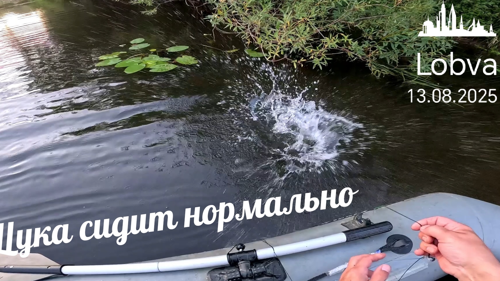 Рыбалка на поплавок. Крупный План. Проверка Самоловок и Перемёта.