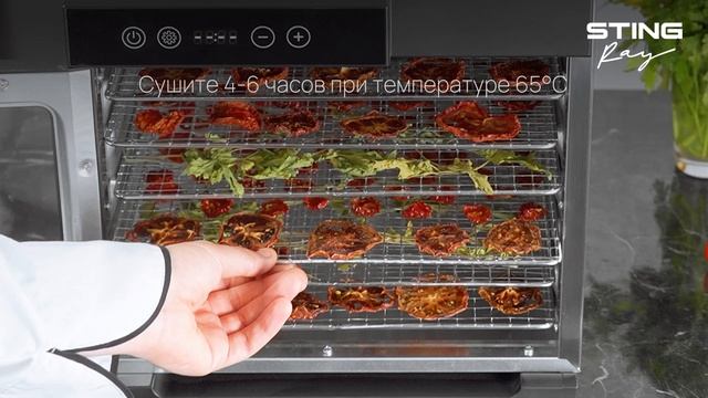 Приготовление закусок в электросушилке STINGRAY ST-FD711A