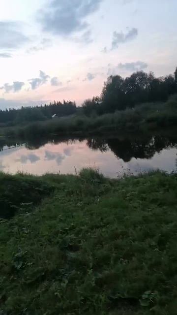 Мопеды сериал | Серия 1612