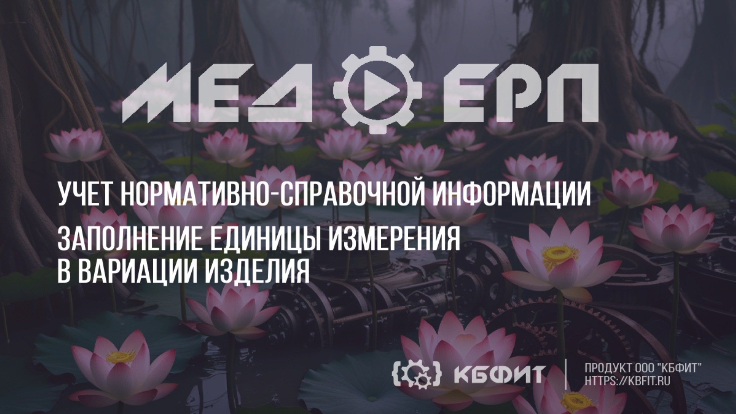 КБФИТ: МЕДЕРП. Учет НСИ: Заполнение единицы измерения в вариации изделия