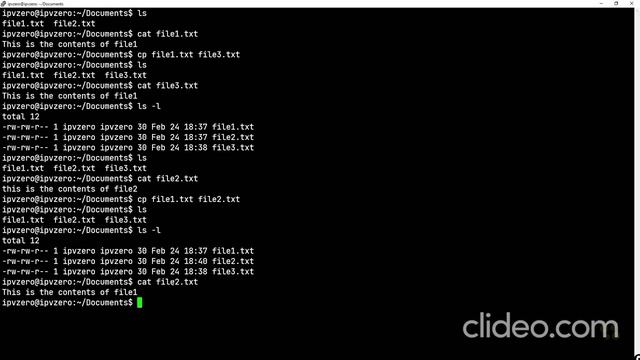 1-file-management-basics