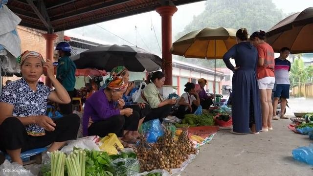 Harvesting Mulberries For Sale at the Market - Making beds, improving soil, Vegetable.Trieu Mai Huon
