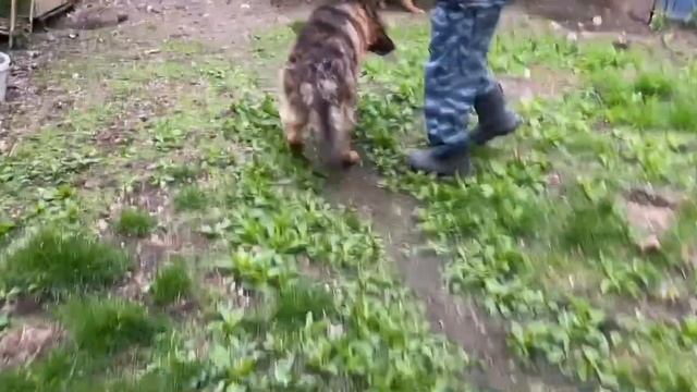 Давид и Бим, забираем с завода 2