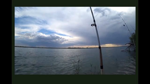 Звуки пения соловья на реке Или