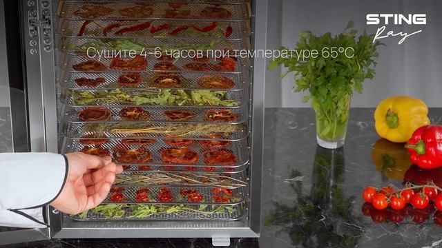 Приготовление закусок в электросушилке STINGRAY ST-FD734A