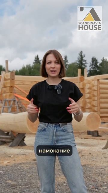 Как ухаживать за домом из сруба