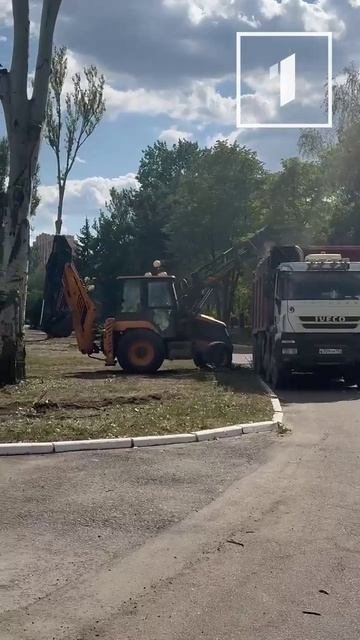 Не только спиливают деревья, но и убирают за собой опилки!