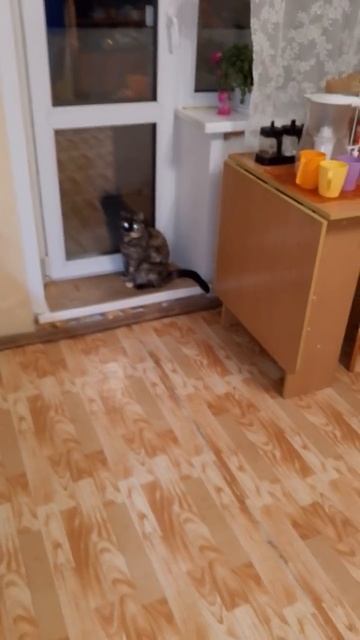 Любимый борщ мужа