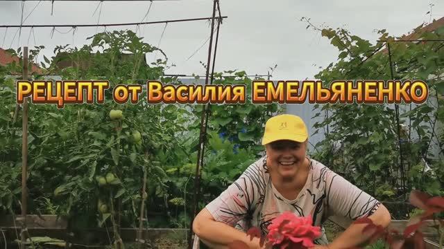 2025 Кабачок на гриле