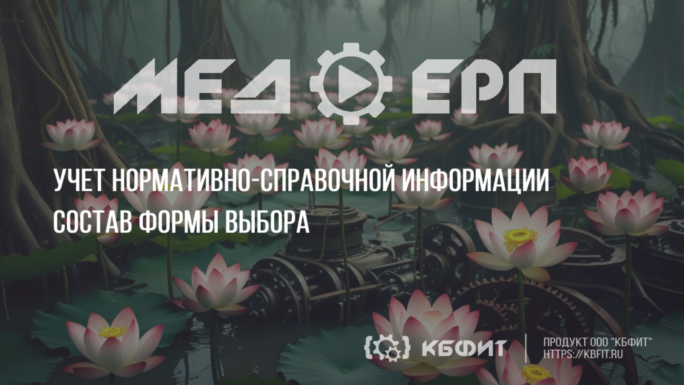 КБФИТ: МЕДЕРП. Учет НСИ: Состав формы выбора