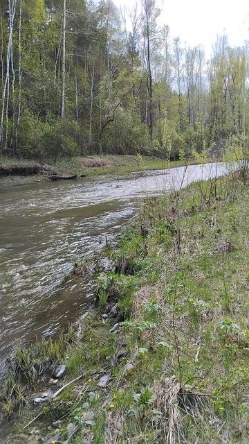 Река,мини водопад. Отдых, природа.☺️😎☀️👍🌊