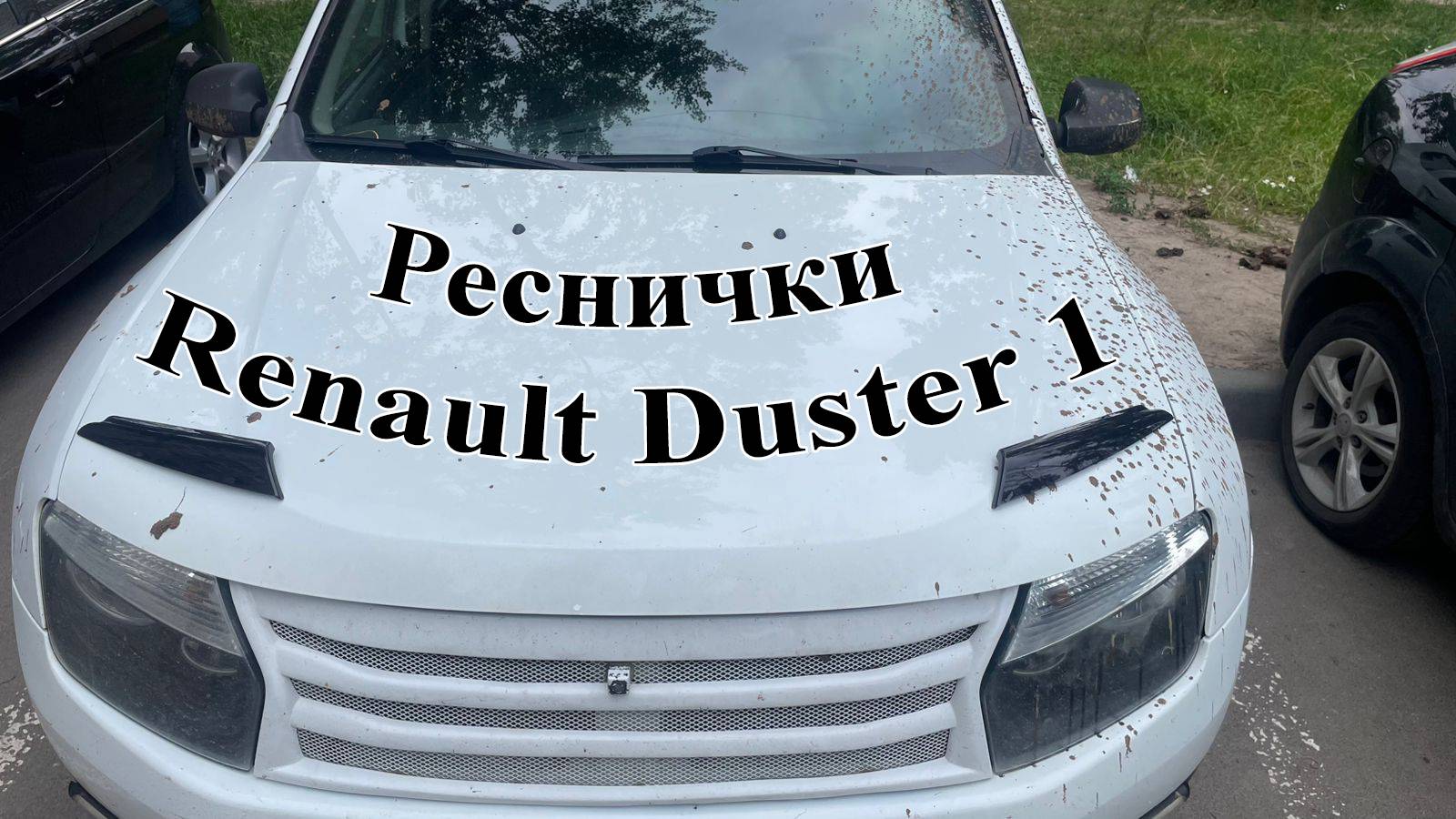 Реснички Renault Duster 1