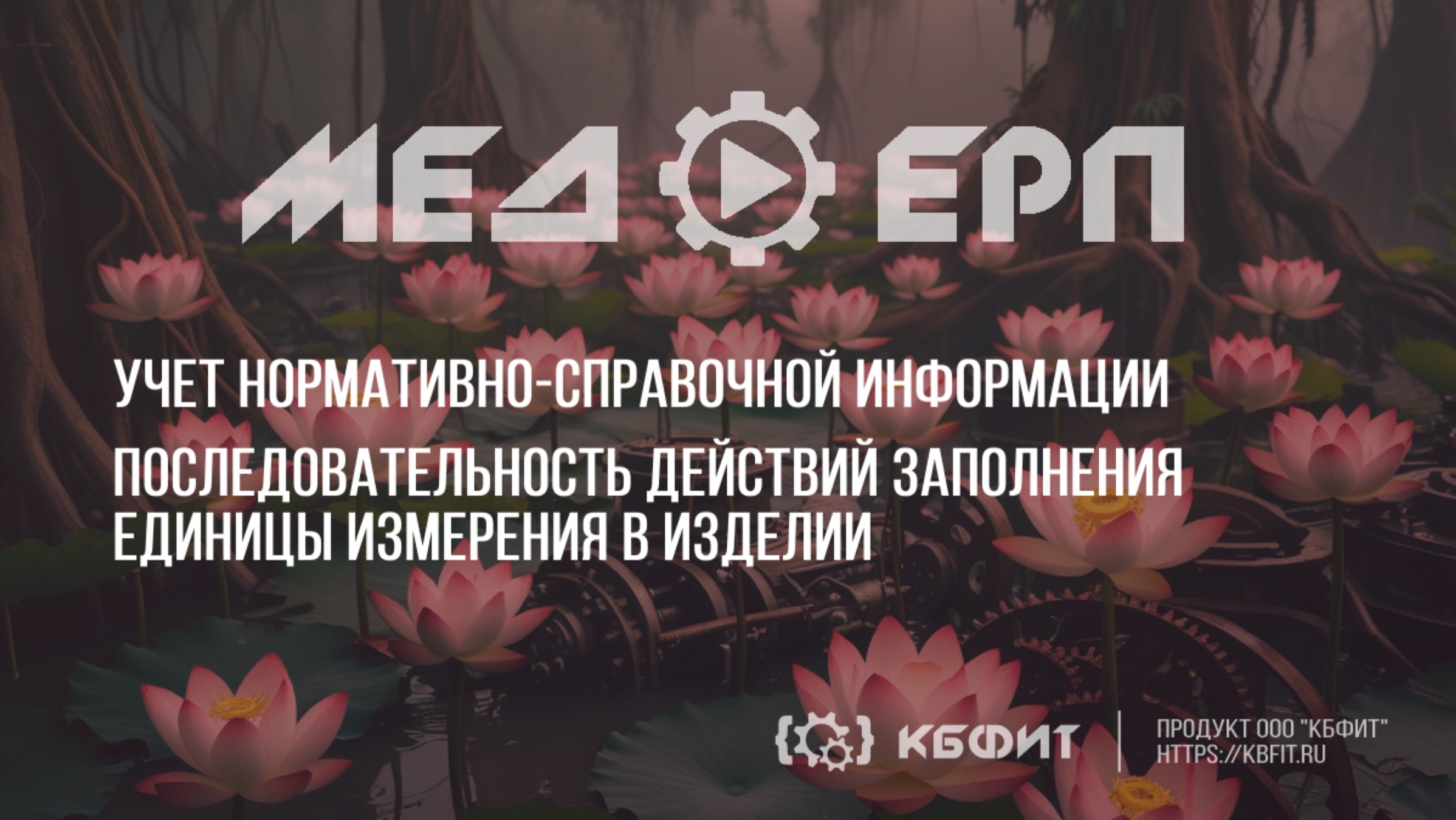КБФИТ: МЕДЕРП. Учет НСИ: Последовательность действий заполнения единицы измерения в изделии