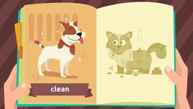 10. ADJECTIVES 🐭 Animals 🐘 Vocabulary for Kids 🐢🐆 Episode 1