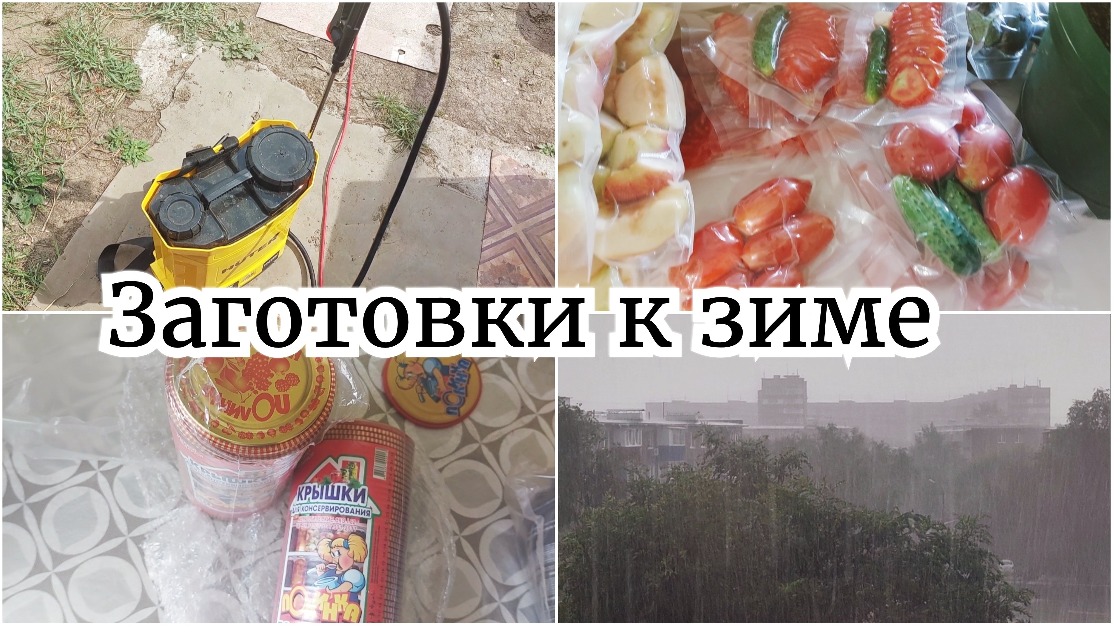 САДОВЫЕ ДЕЛА 🏡 ПОДГОТОВКА НА ЗИМУ // ВАКУУМИРУЮ ОВОЩИ И ФРУКТЫ 🔥 ПОКУПКИ ВБ