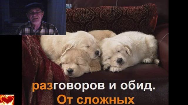 Красивый,не законченный роман.