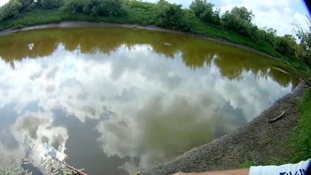 Да сколько же их здесь молодых зубастых леди. Рыбалка на мелководье И все таки Я ее доловил.