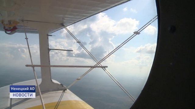 ПРОФИЛАКТИКА ЛЕСНЫХ ПОЖАРОВ