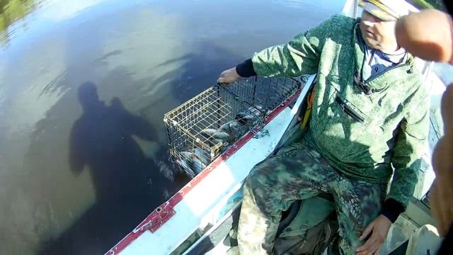 Рыбалка на Конского Окуня ну а щуки в прилове.