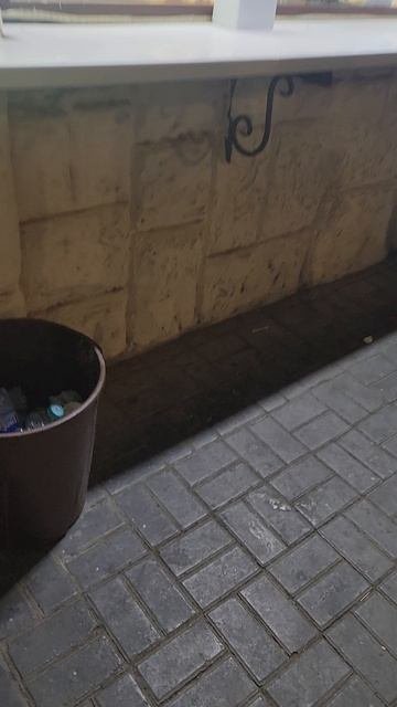 Пирожки от бабушки в Ташкенте