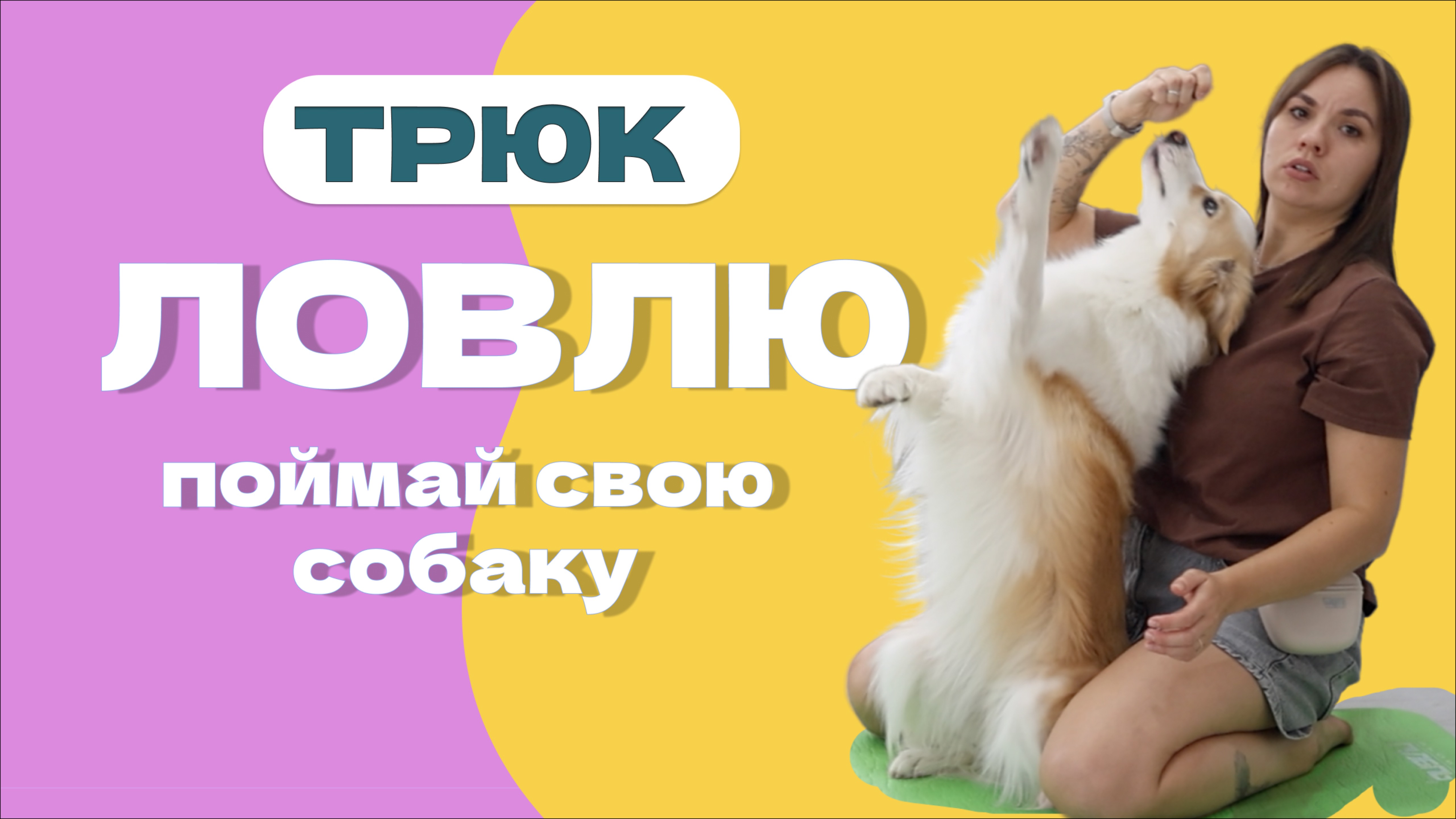 ТРЮК ДЛЯ СОБАКИ - собака падает на руки, ЛОВЛЮ, ПОЙМАЮ, ПАДАЙ, ДОВЕРЯЙ МНЕ