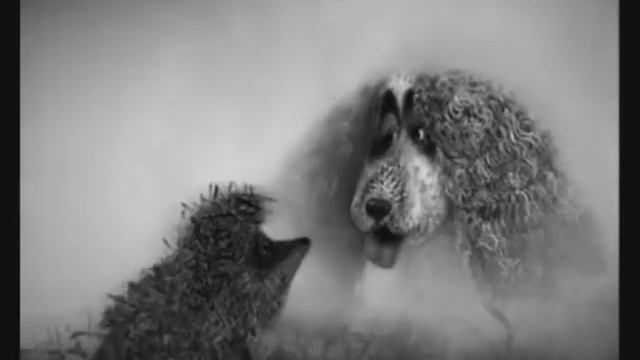 DO-RE-MI-FA-SOL by Ebtehun