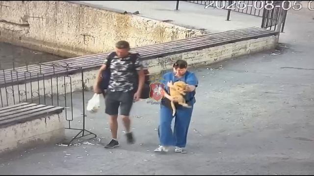 В Севастополе туристка,угостившая случайного знакомого, осталась без документов,денег и личных вещей