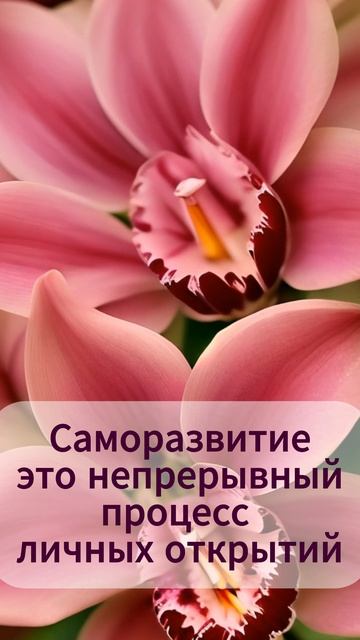 🌹 Роза & Стив Джобс: Следуй за Сердцем   #мотивация,#розы,#успех,#вдохновение,#цветы,#жизнь,