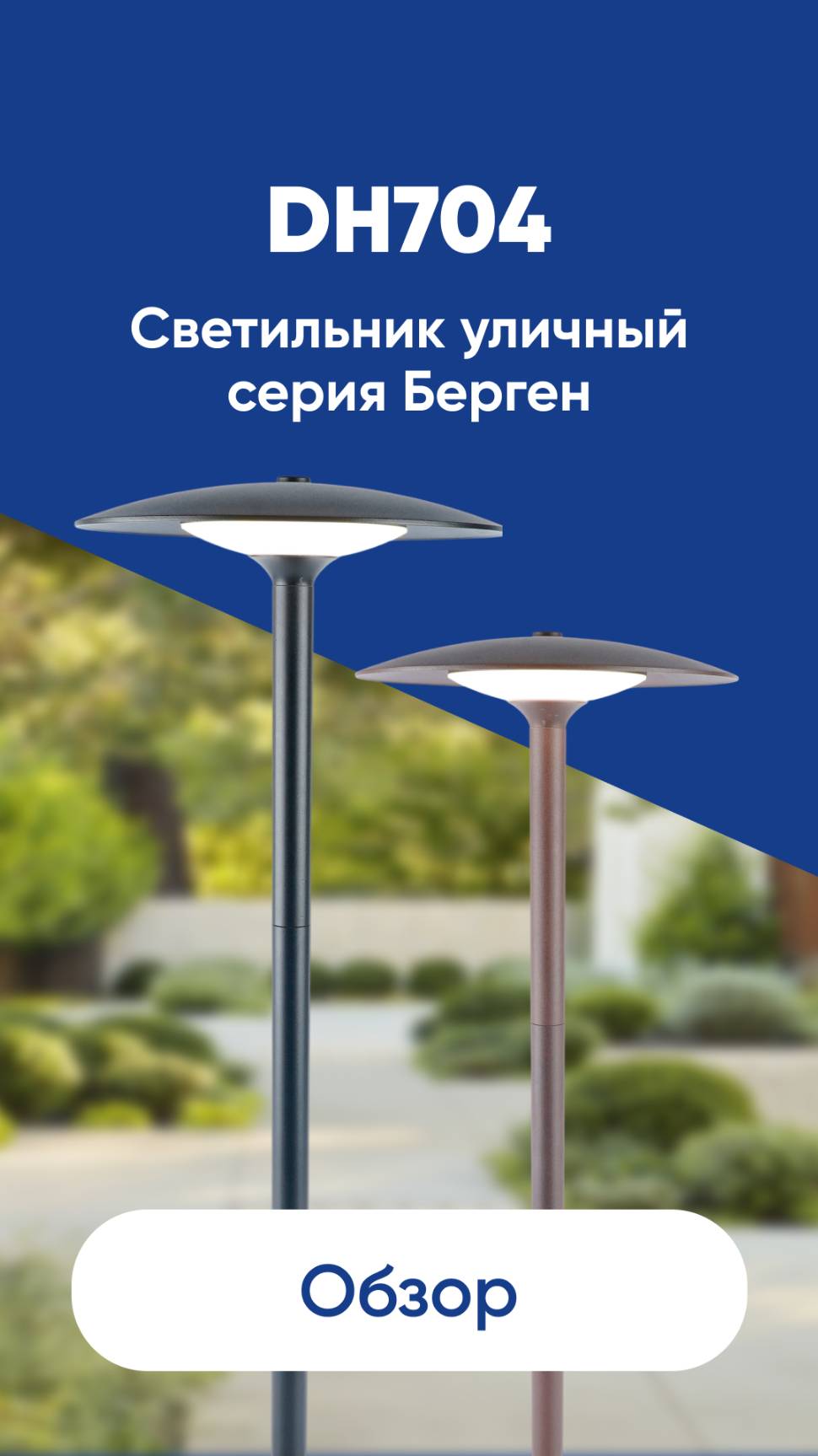 Светильник уличный серии Берген Feron DH704