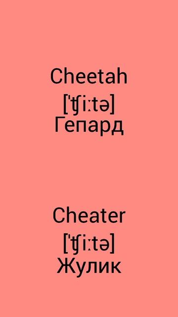 В чём разница !?!?!? WTD (What's the difference)!?!?!? CHEETAH vs CHEATER