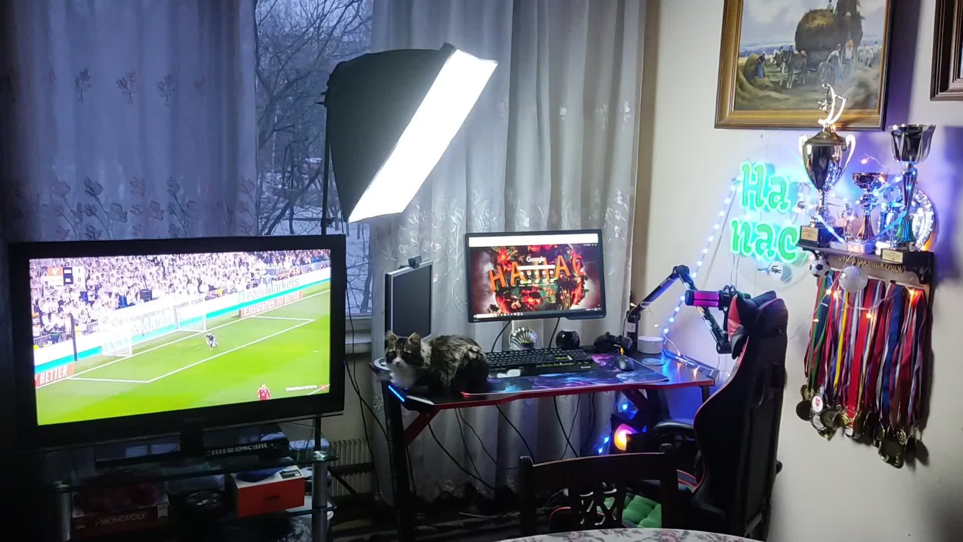 Вечерний стрим