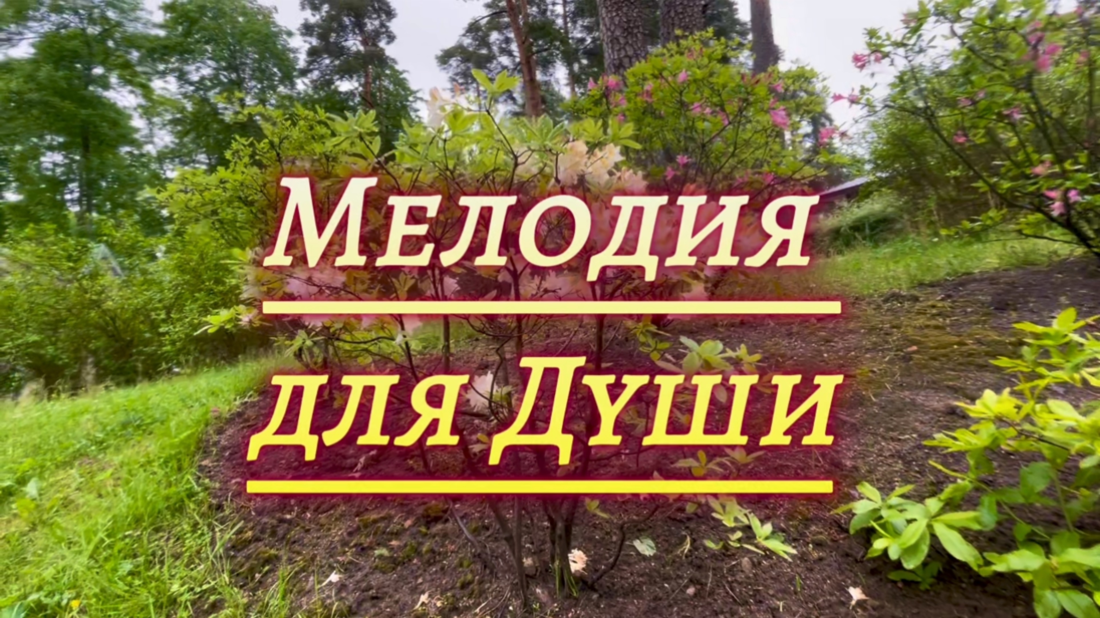 Мелодия для души, красивая инструментальная музыка