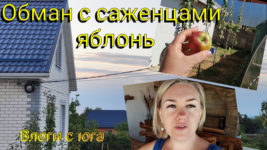 Переезд на юг☀ Куда поехать на море? 🌊 Обман с саженцами яблонь 🍏