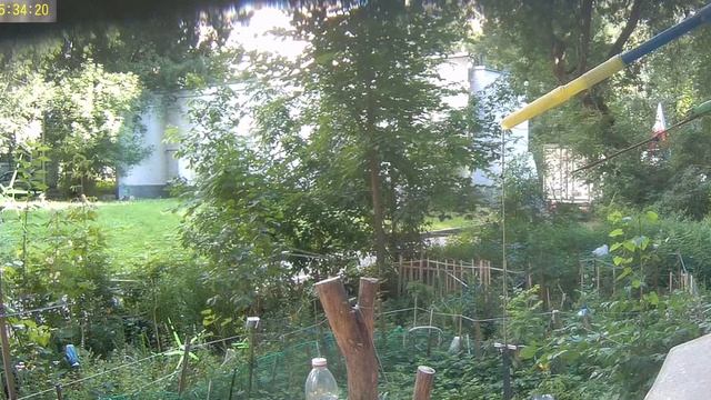 В прокуратуру Москвы Под окном 2025 авг 09 - 11 Нарушения ПДД и САНПИН