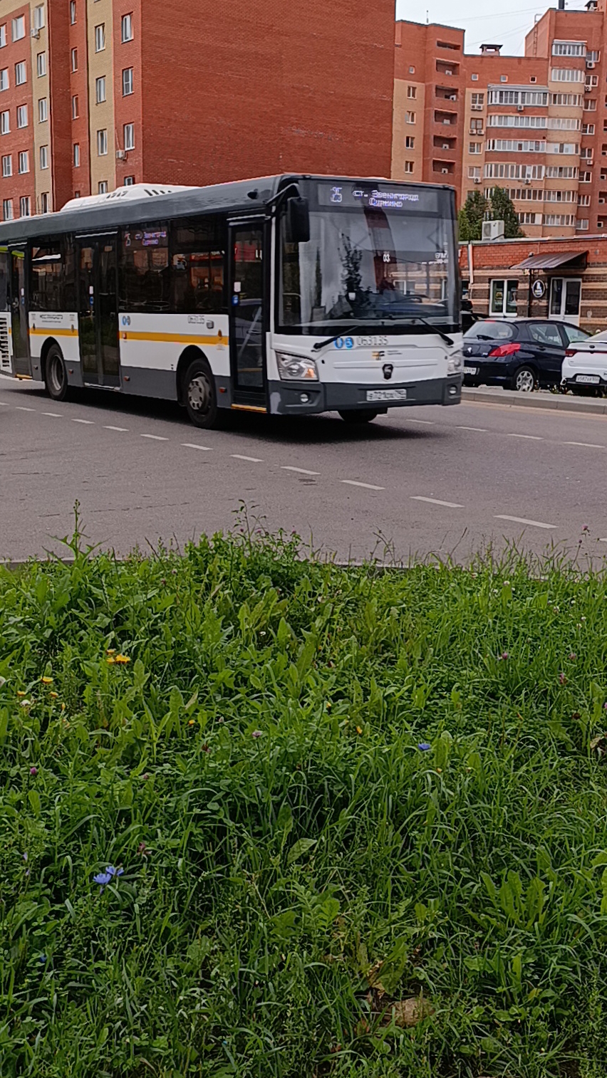 Лиазики