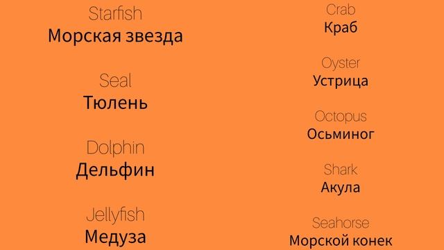 Морские животные 1 See Animals 1