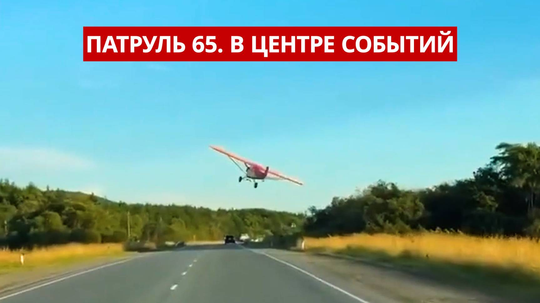 ПАТРУЛЬ 65: Стая бродячих собак, драка с полицией и акула-молот. Происшествия Сахалина 14.08.25